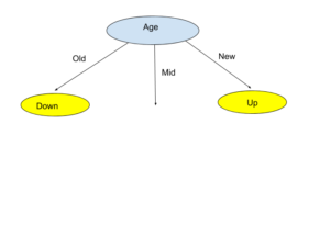 Decision Tree in Machine Learning: A Complete Guide with Example