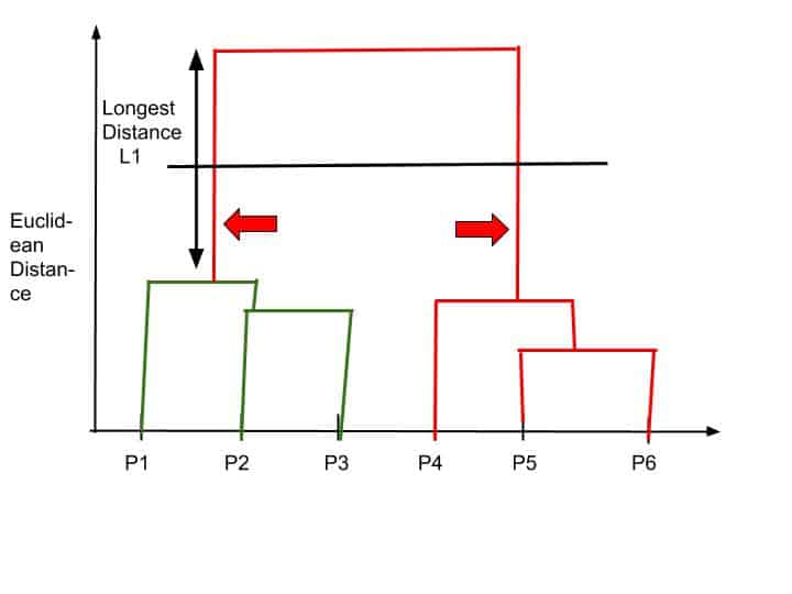Hierarchical Clustering In Python Step By Step Complete Guide