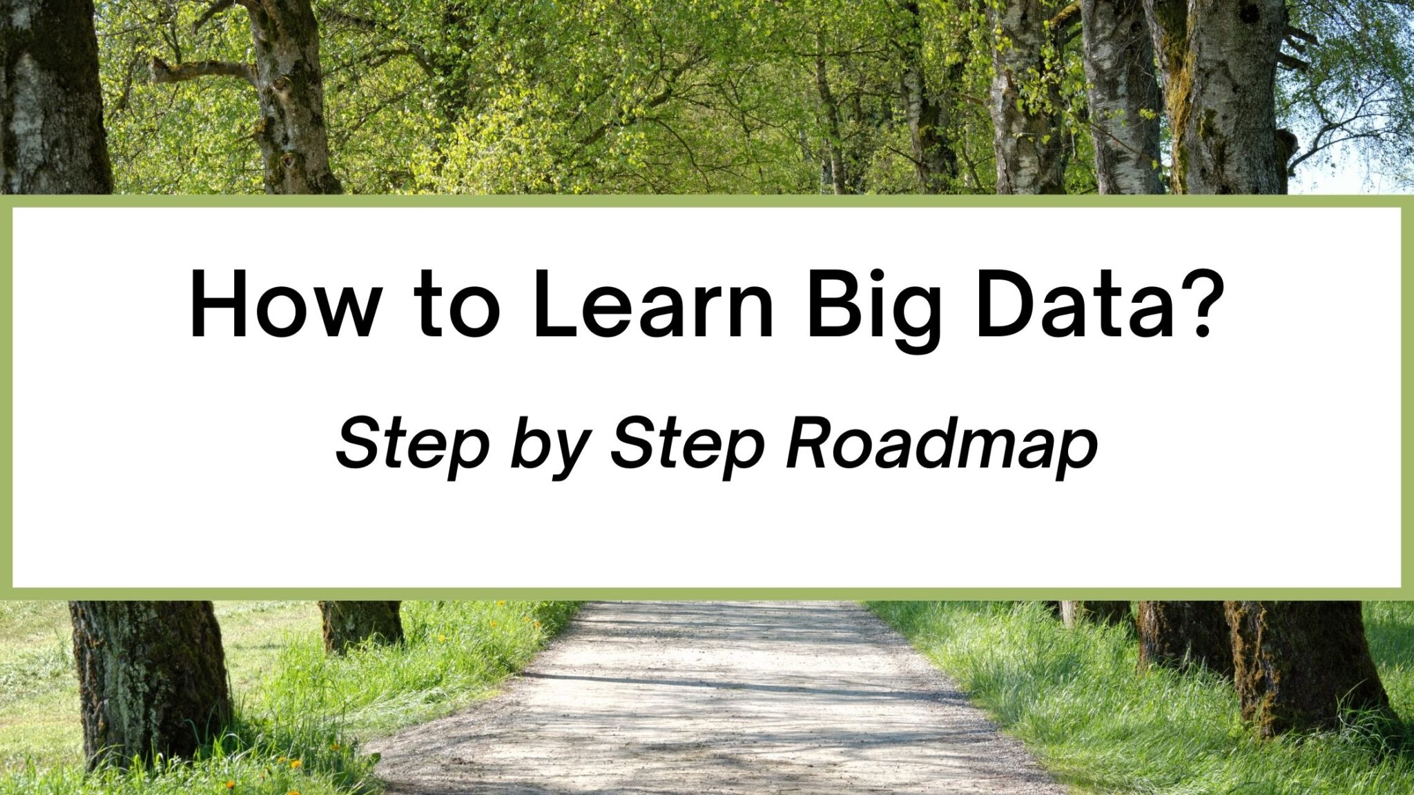 How to Learn Big Data Step by Step?- [Resources Included]