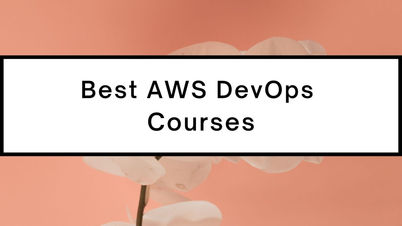 Best Way to Learn AWS DevOps in 2022- [Bestseller Courses]
